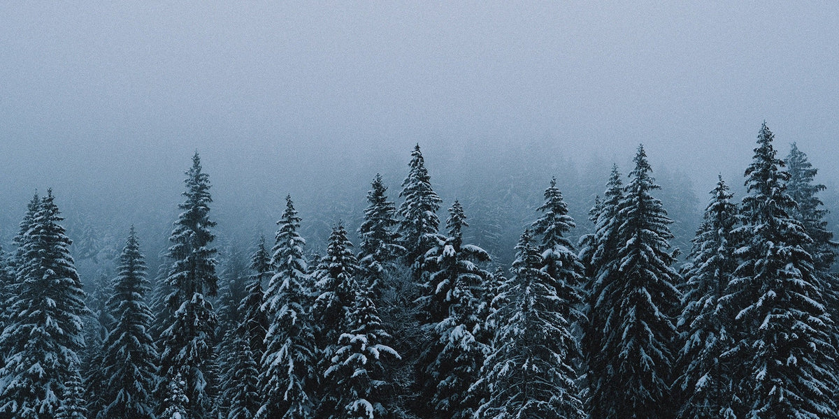 Ready-to-Ship Boots: Ships Next Day